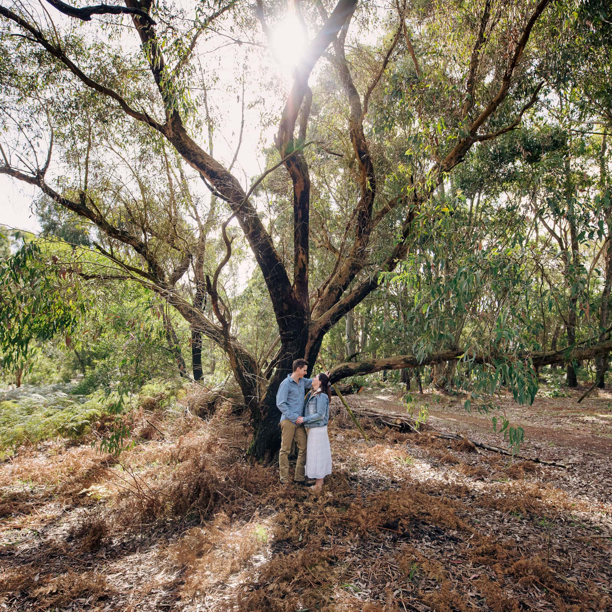 Paul Benjamin Photography - Warrnambool Photographer